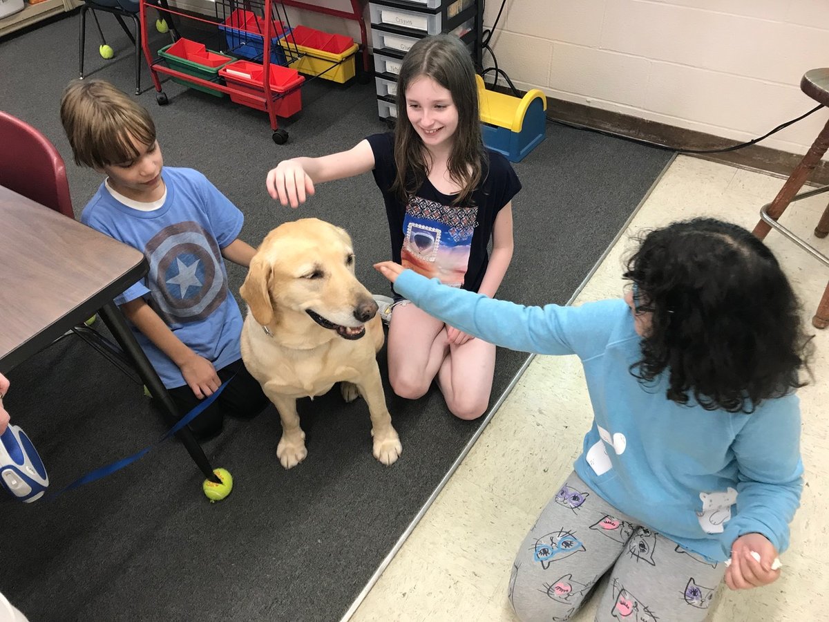 The Role of Therapy Dogs in Schools The Role of Therapy Dogs in Schools